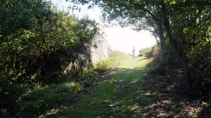 Den hellige ånd - Den norske kirke